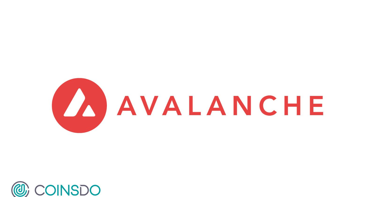 A Beginner's Guide to Avalanche (AVAX)