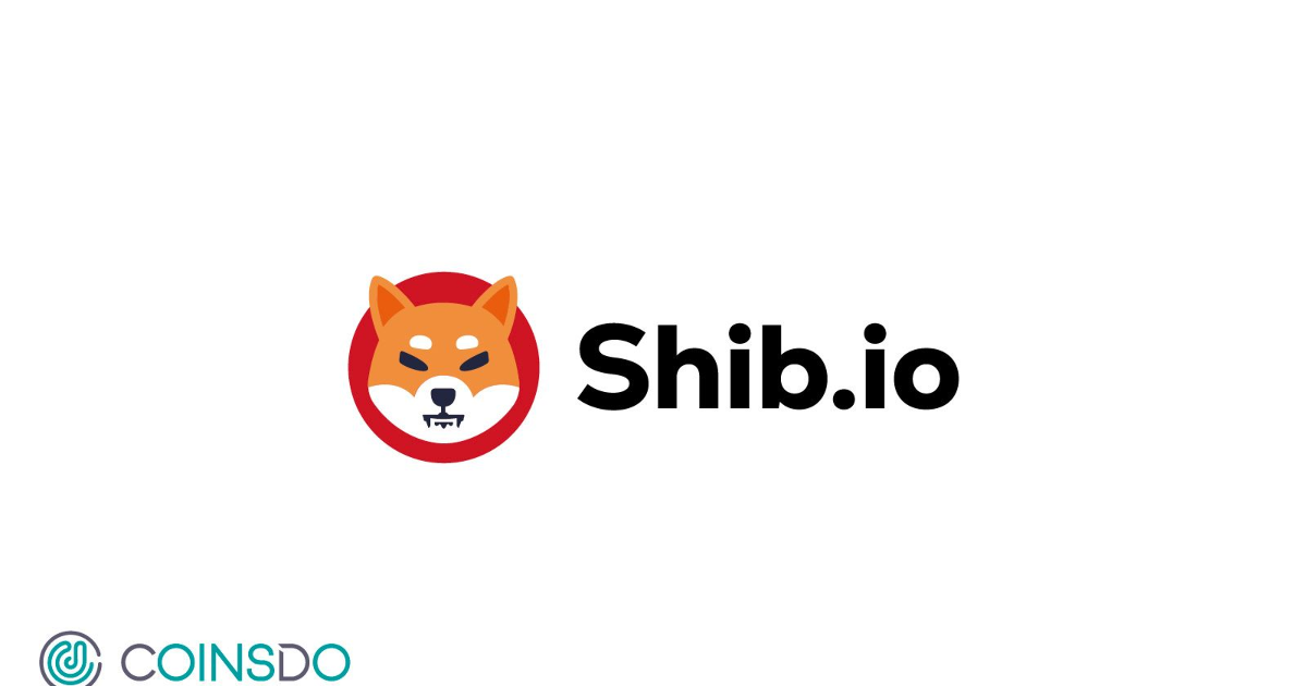 Beginner's Guide to Shibarium