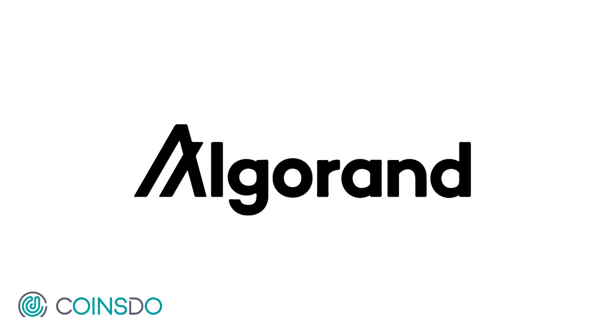 A Beginner's Guide to Algorand